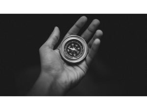 The Importance of Flow and How To Cure Being Pulled in Every Direction ...